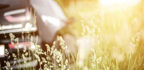 WALSER - Only the best for your Car